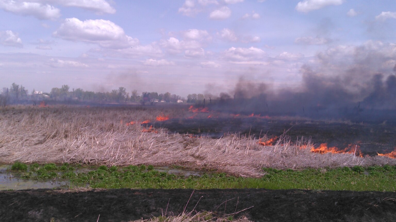 Brown’s Preserve – Drainage Repair and Wetland Restoration | Rice Creek Watershed District