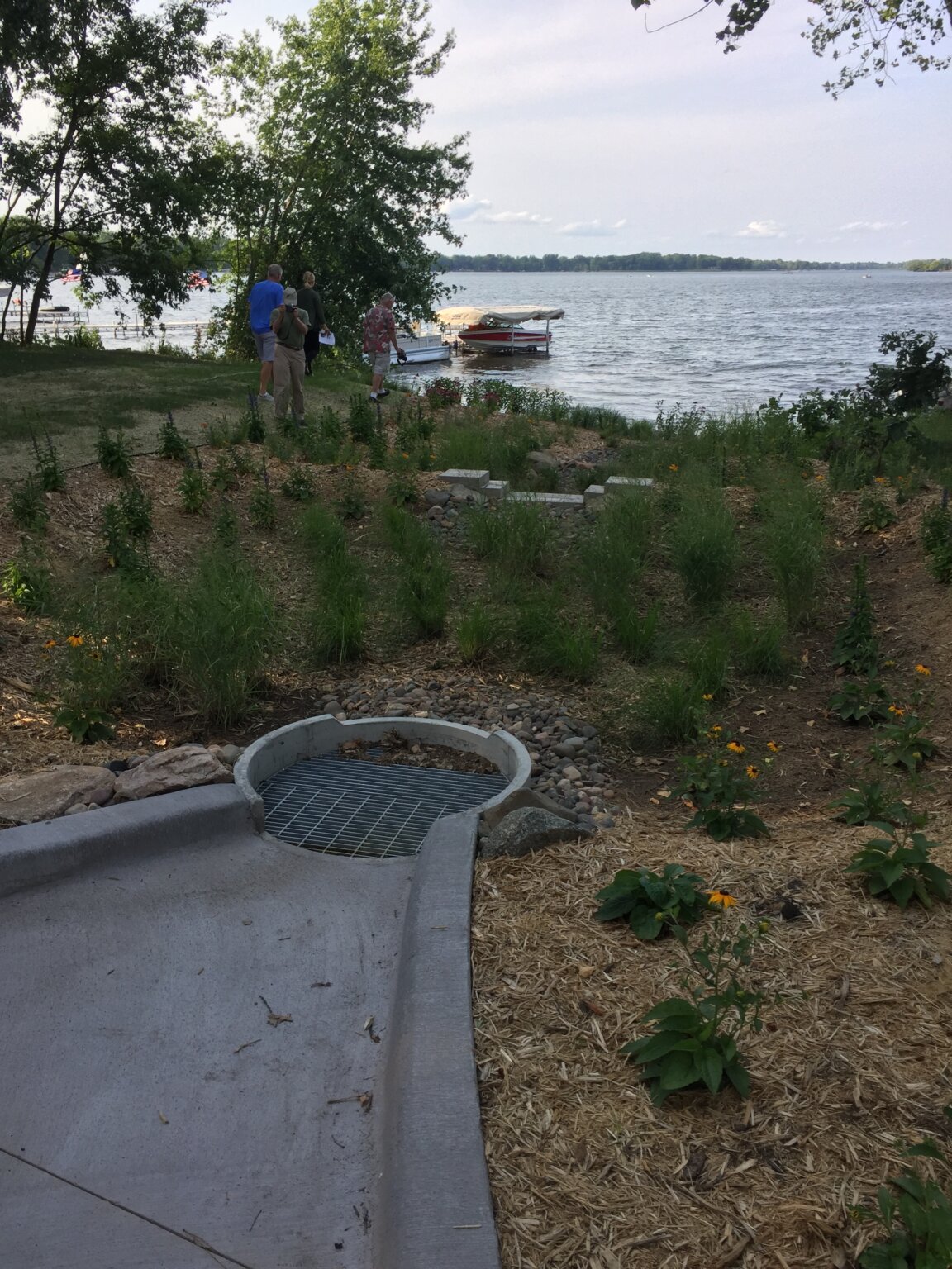 Bald Eagle Lake Rain Garden | Rice Creek Watershed District