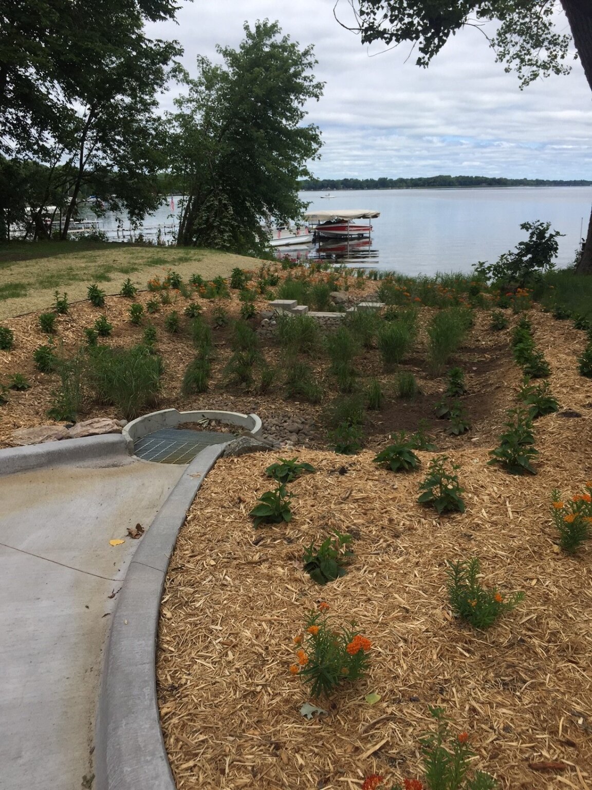 Bald Eagle Lake Rain Garden | Rice Creek Watershed District