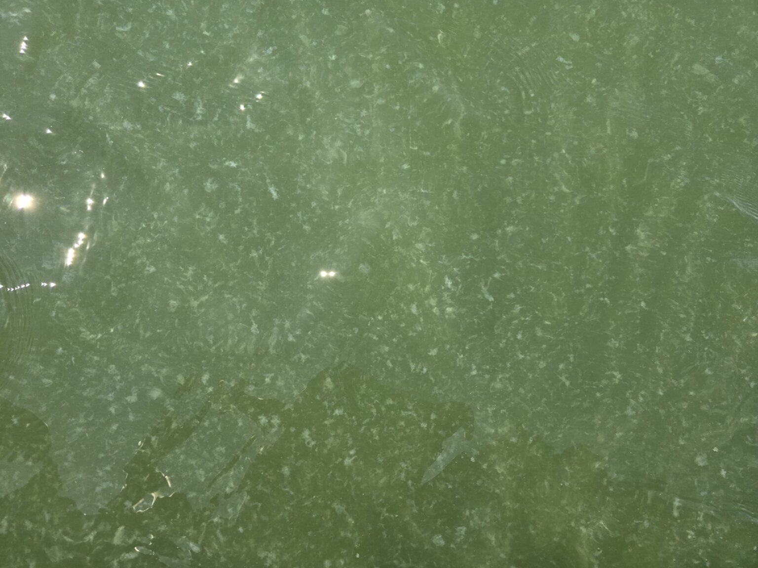 Centerville Lake Alum Treatment | Rice Creek Watershed District