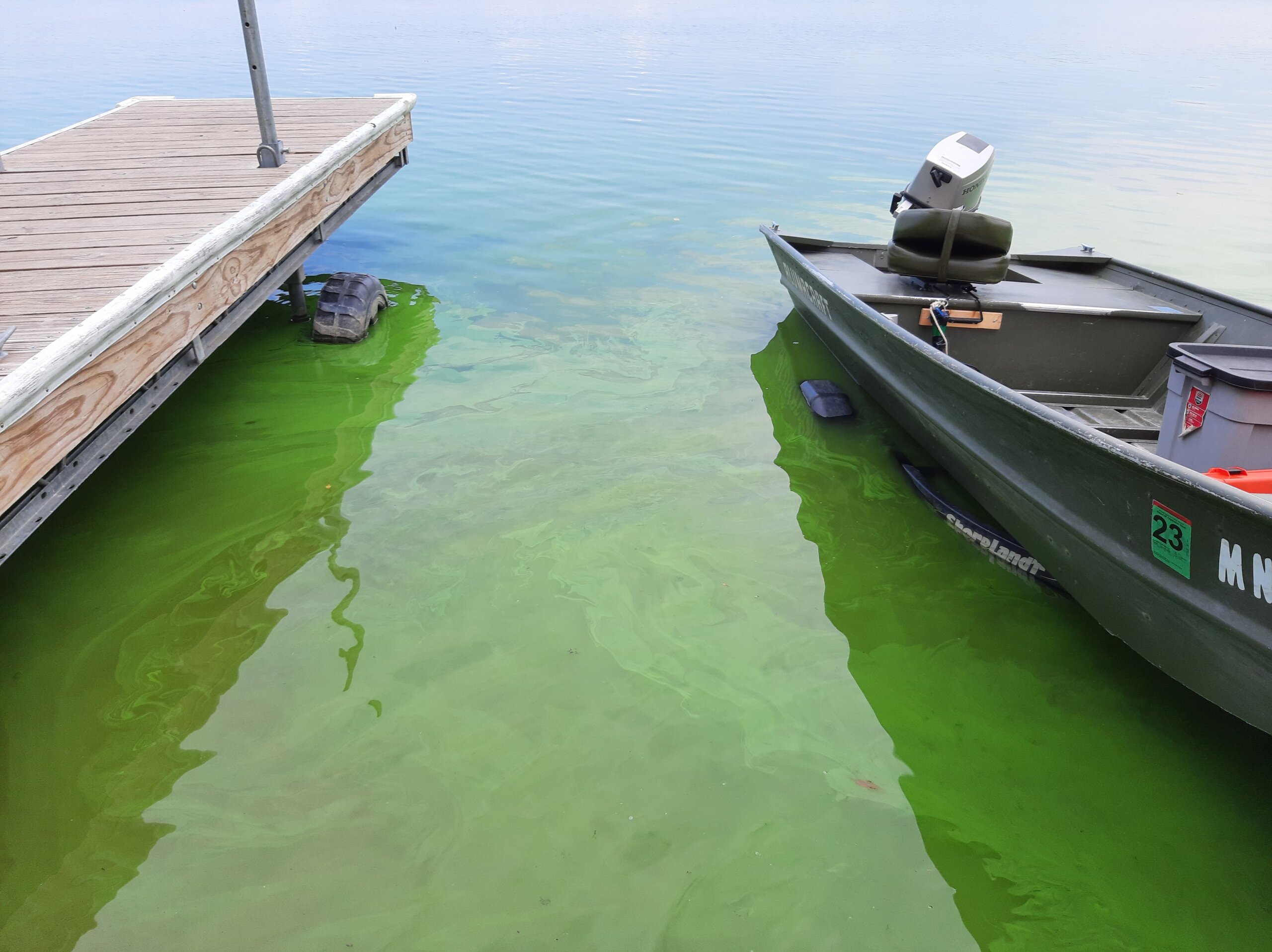 Rice Creek Watershed District