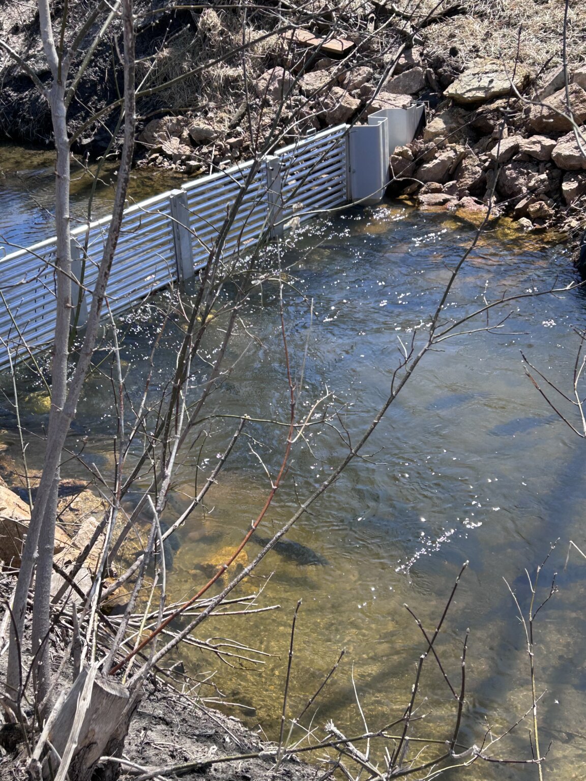 Johanna Creek Carp Barrier | Rice Creek Watershed District