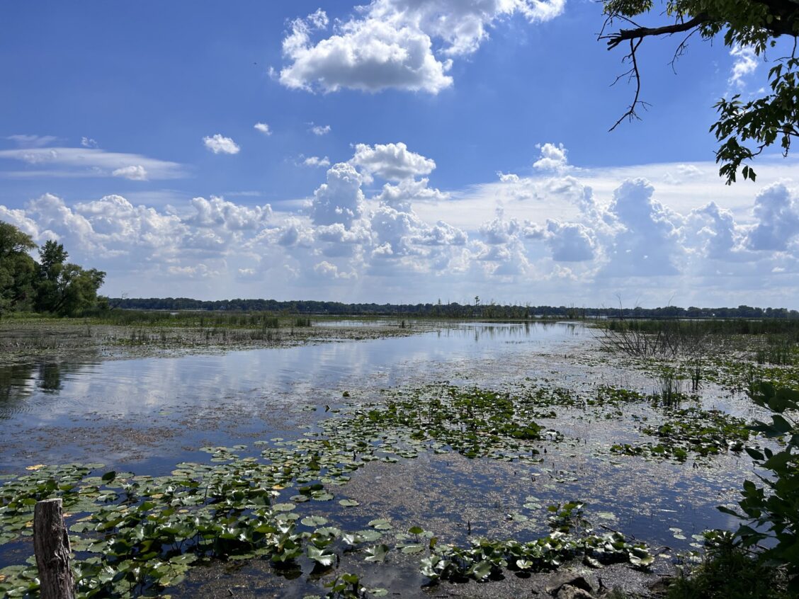 The Watershed | Rice Creek Watershed District