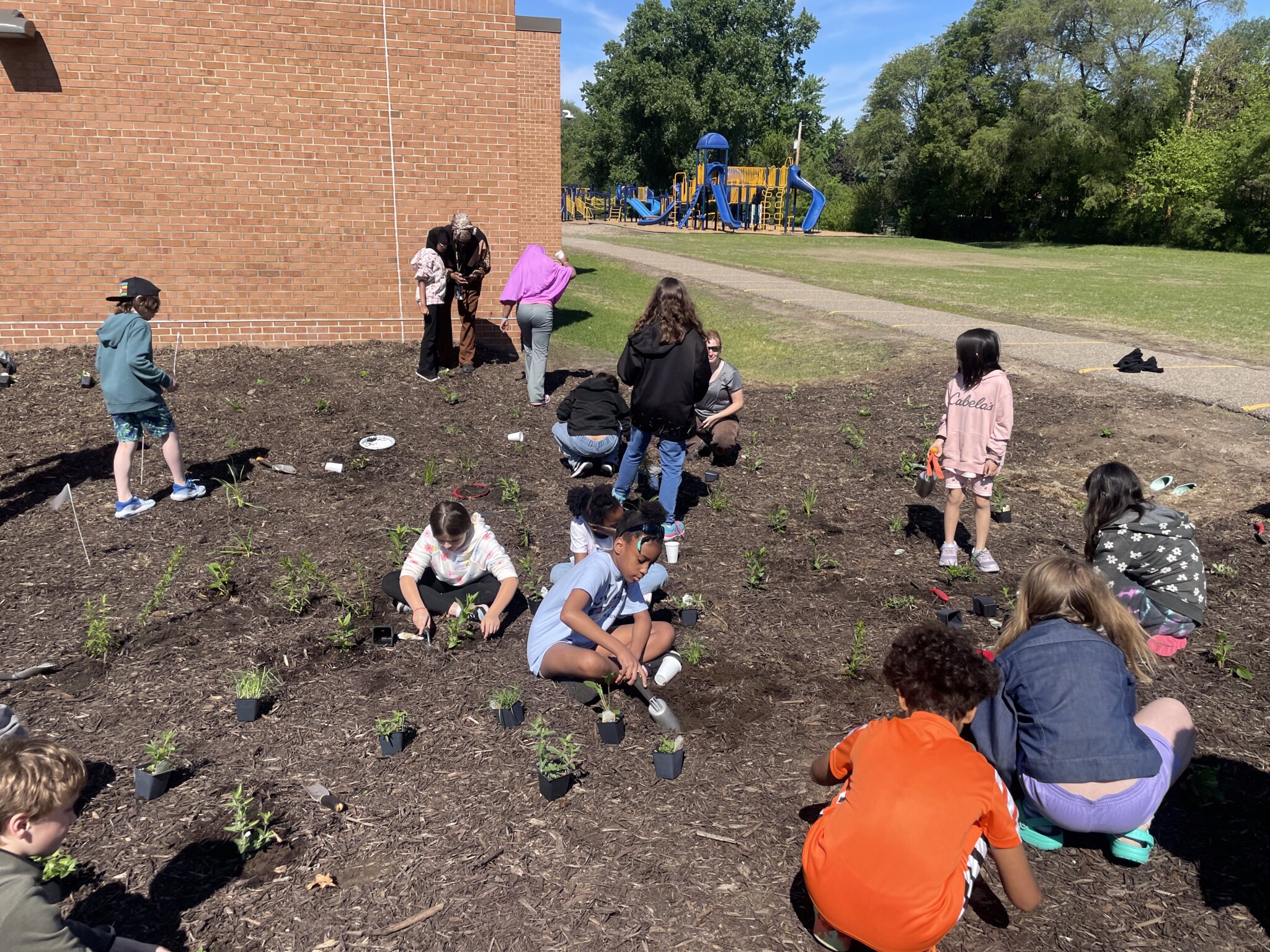 Hayes Students Turn Native Plant Lessons into Real-Life Rain Garden | Rice Creek Watershed District