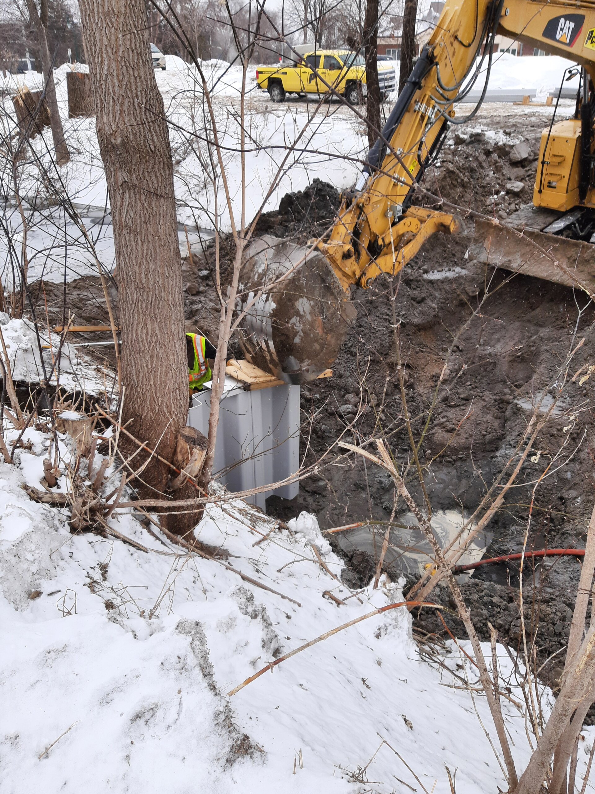 Johanna Creek Carp Barrier | Rice Creek Watershed District