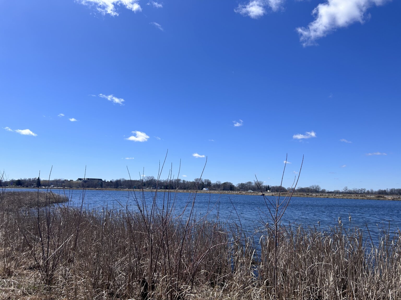 RCWD Updates and News – Summer 2025 | Rice Creek Watershed District