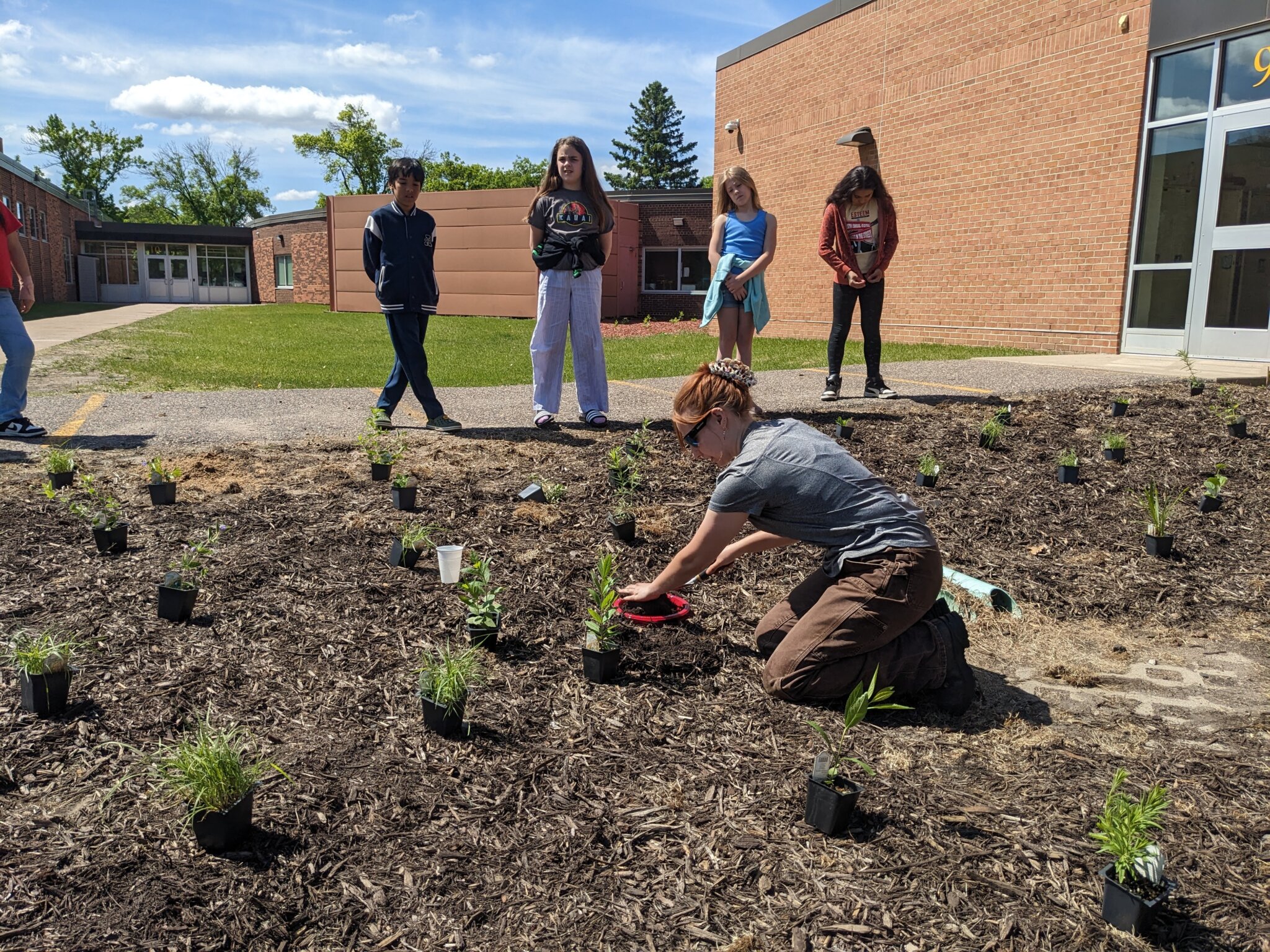 Hayes Students Turn Native Plant Lessons into Real-Life Rain Garden | Rice Creek Watershed District