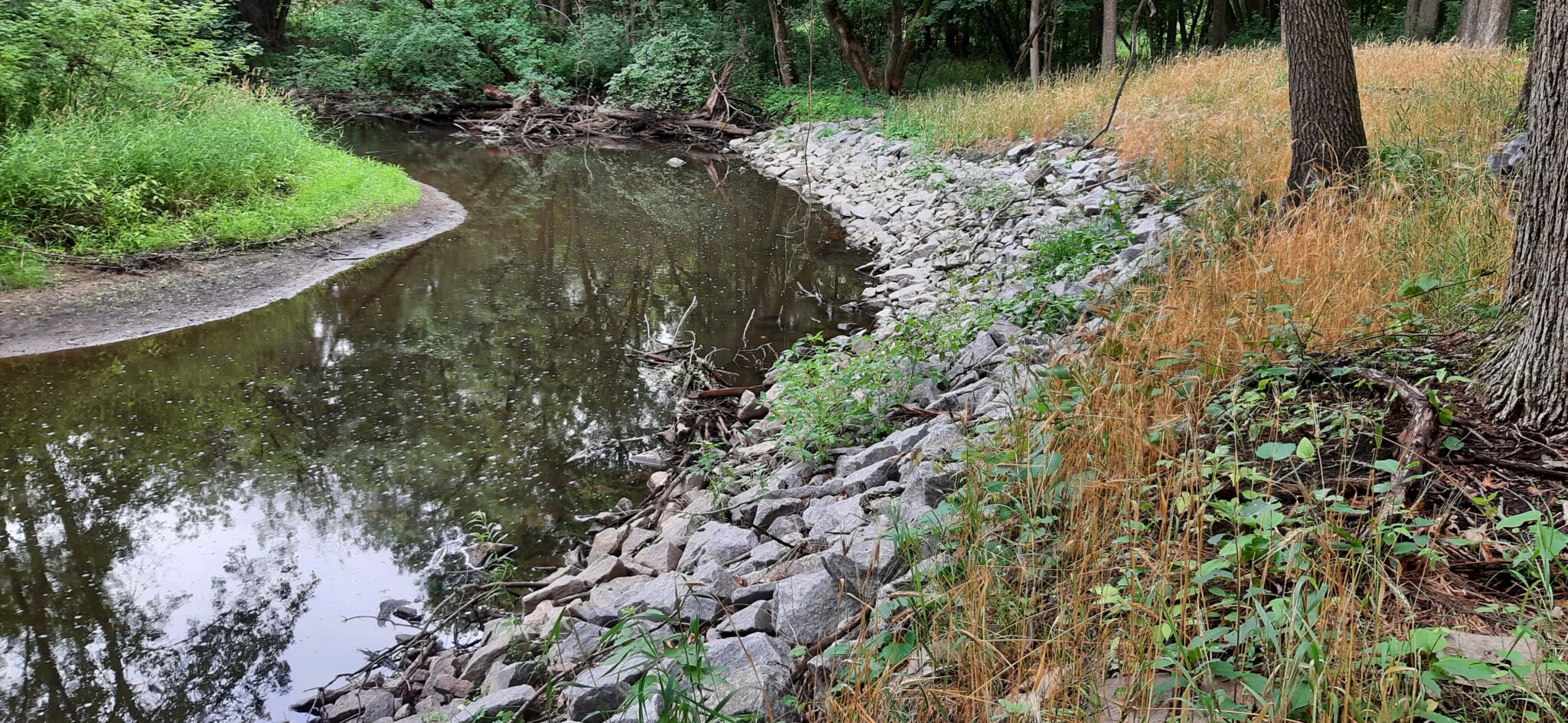 Lower Rice Creek Stabilization | Rice Creek Watershed District