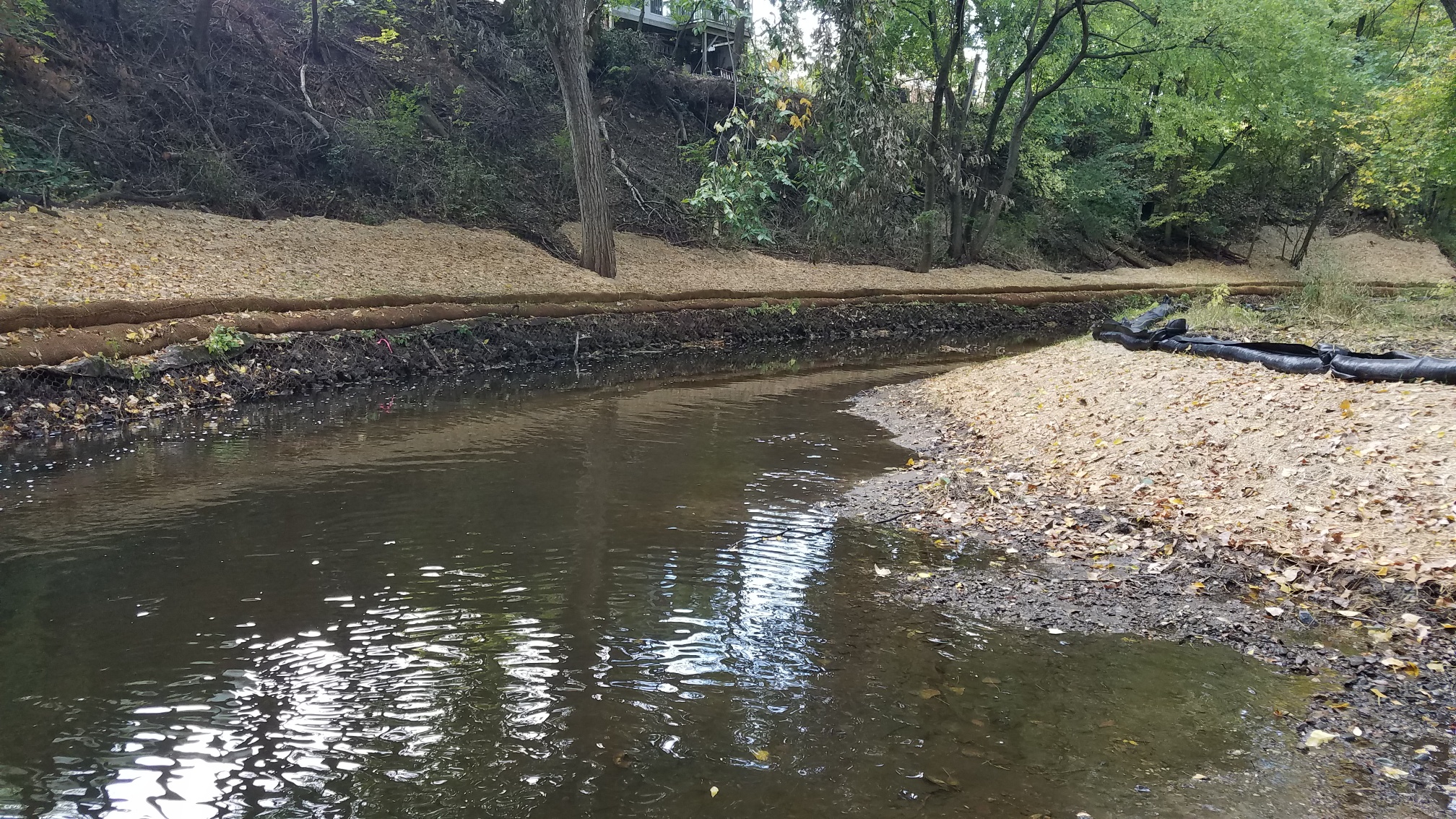 Lower Rice Creek Stabilization | Rice Creek Watershed District