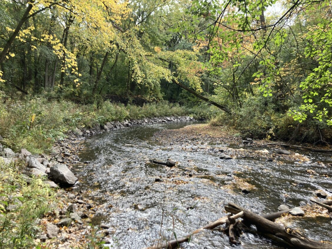 Resources | Rice Creek Watershed District