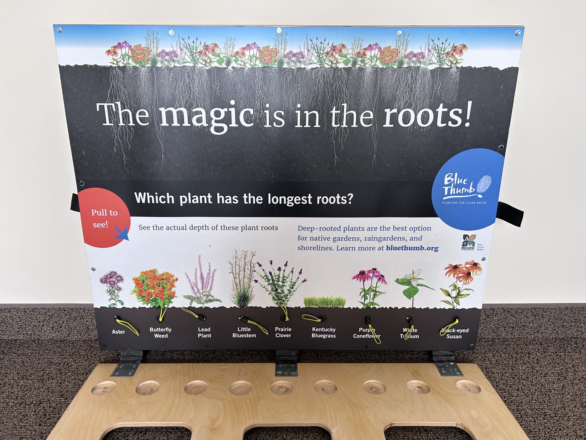 Teachers and Schools | Rice Creek Watershed District