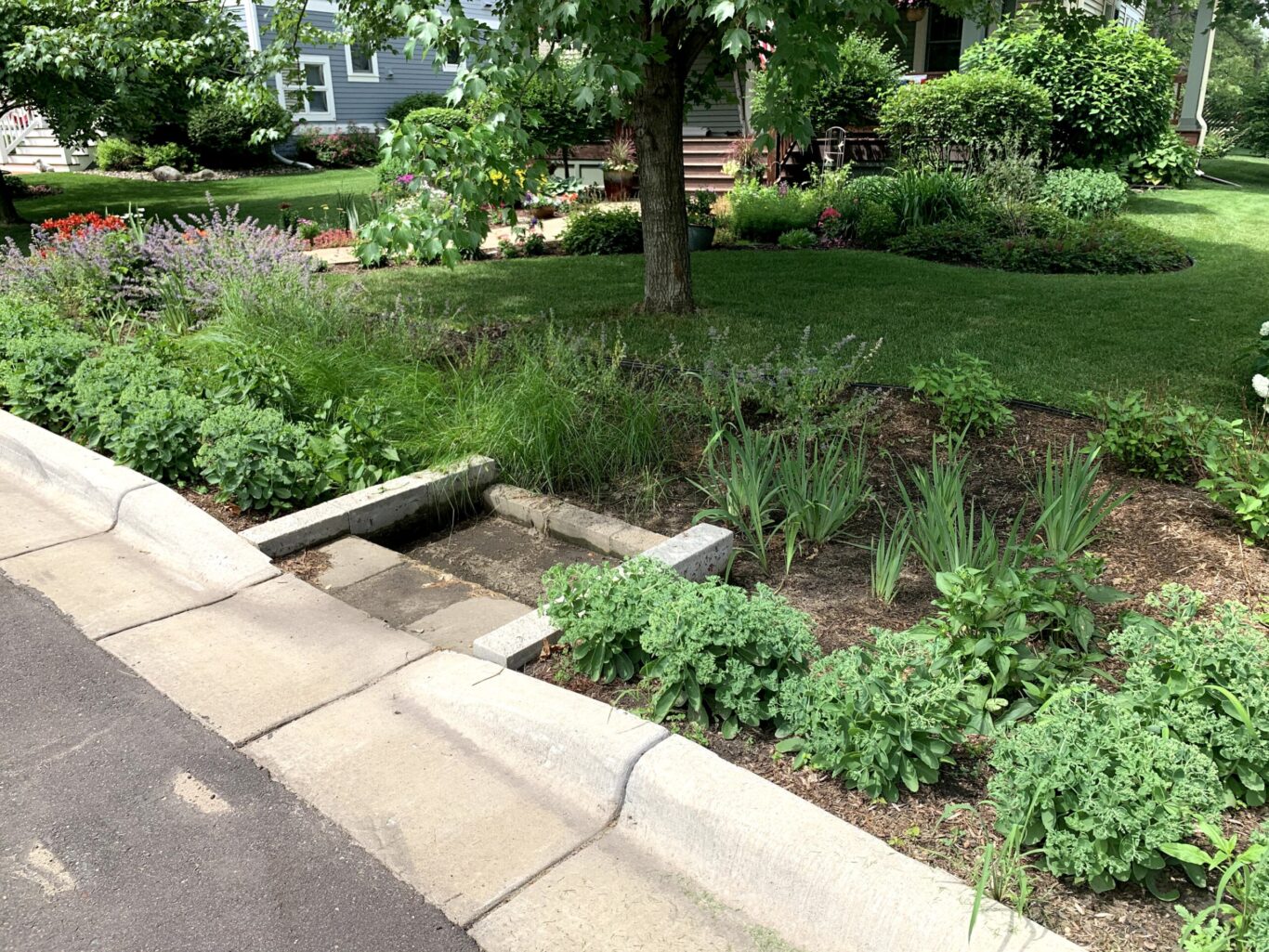 Residents | Rice Creek Watershed District