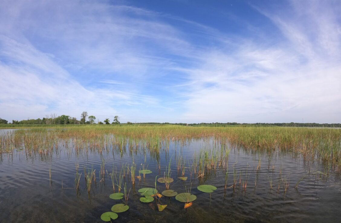 The Watershed | Rice Creek Watershed District